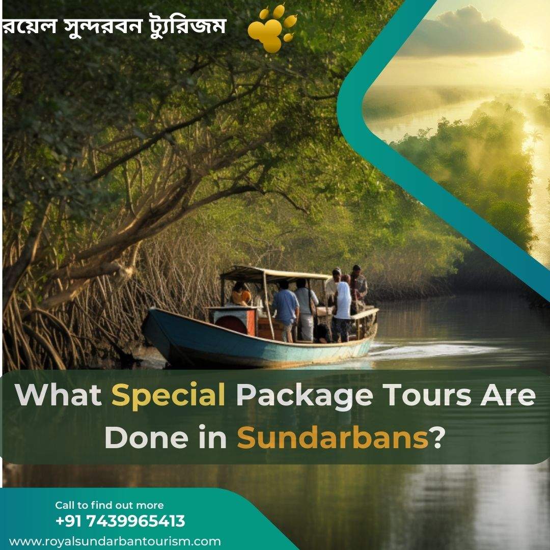 Great 2025 Sundarbans Tour Packages | Royal Sundarban Tourism